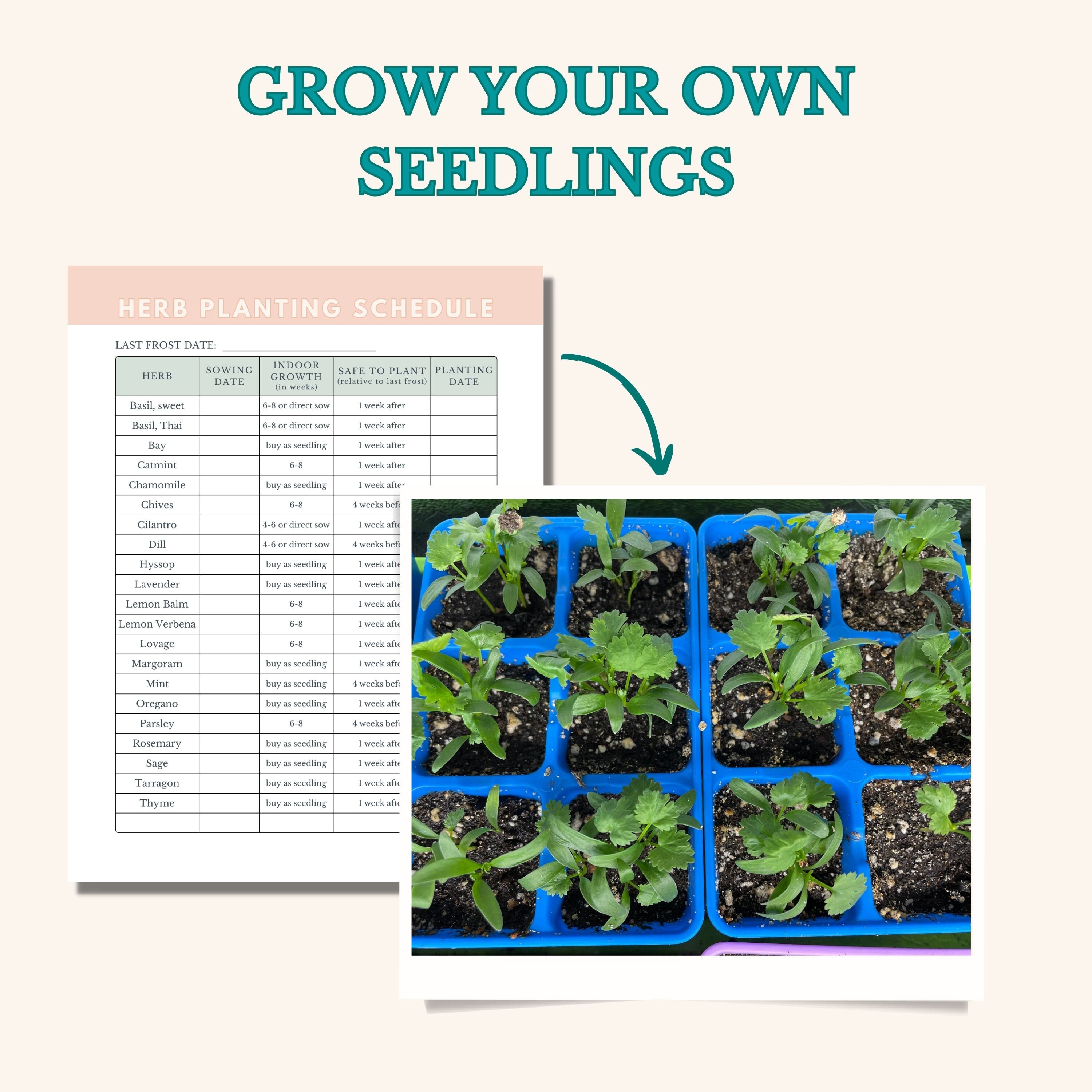 Seed Starting Cheat Sheet Garden Planner Printable, Digital Download ...