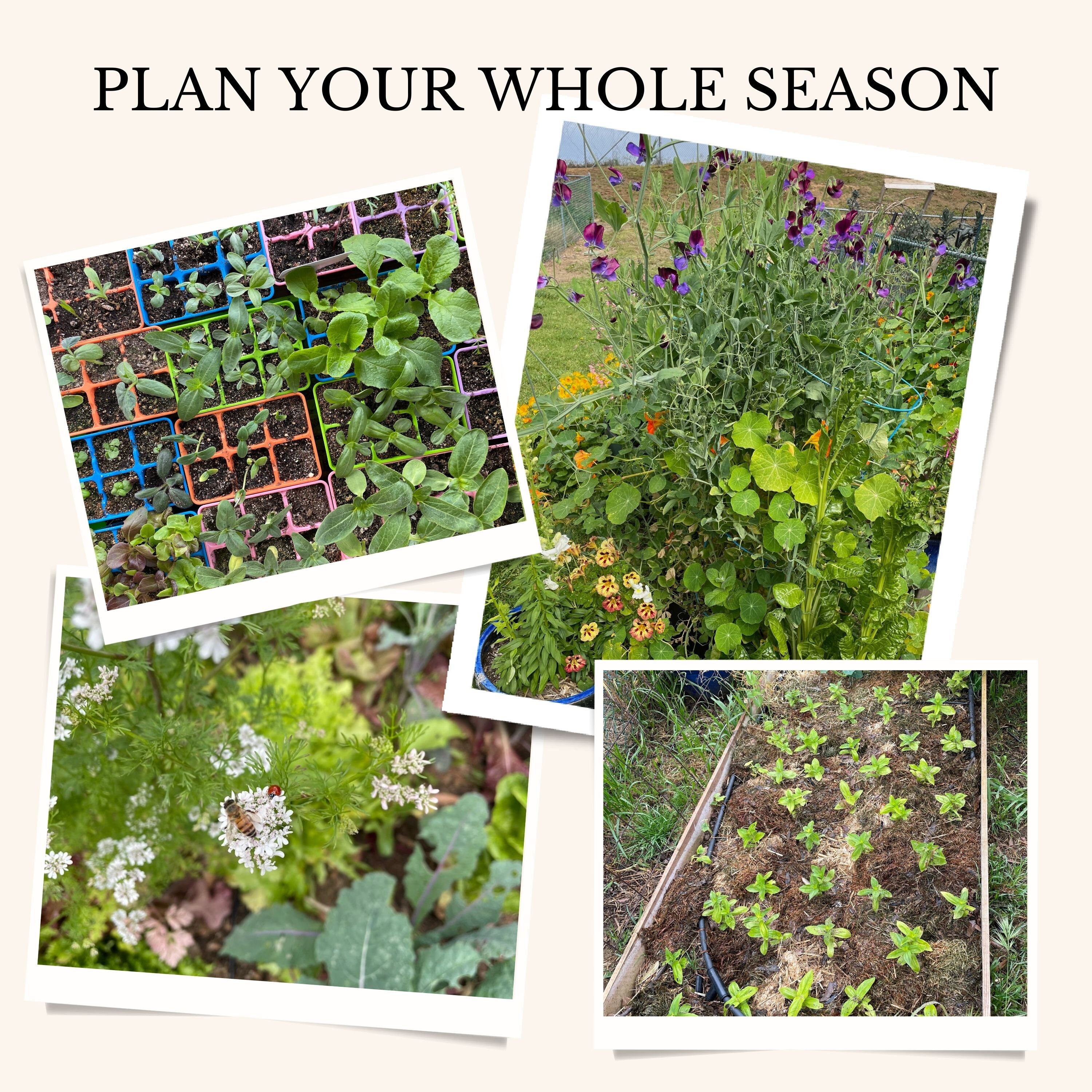 Cut Flower Garden Planner With Seed Starting Calendar, Garden Layout ...