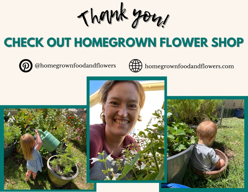 Cut Flower Garden Planner Bundle Garden Journal Garden - Etsy