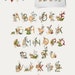 Woodland Alphabet Clipart Winter Letters Number Baby Animals Clip Art ...