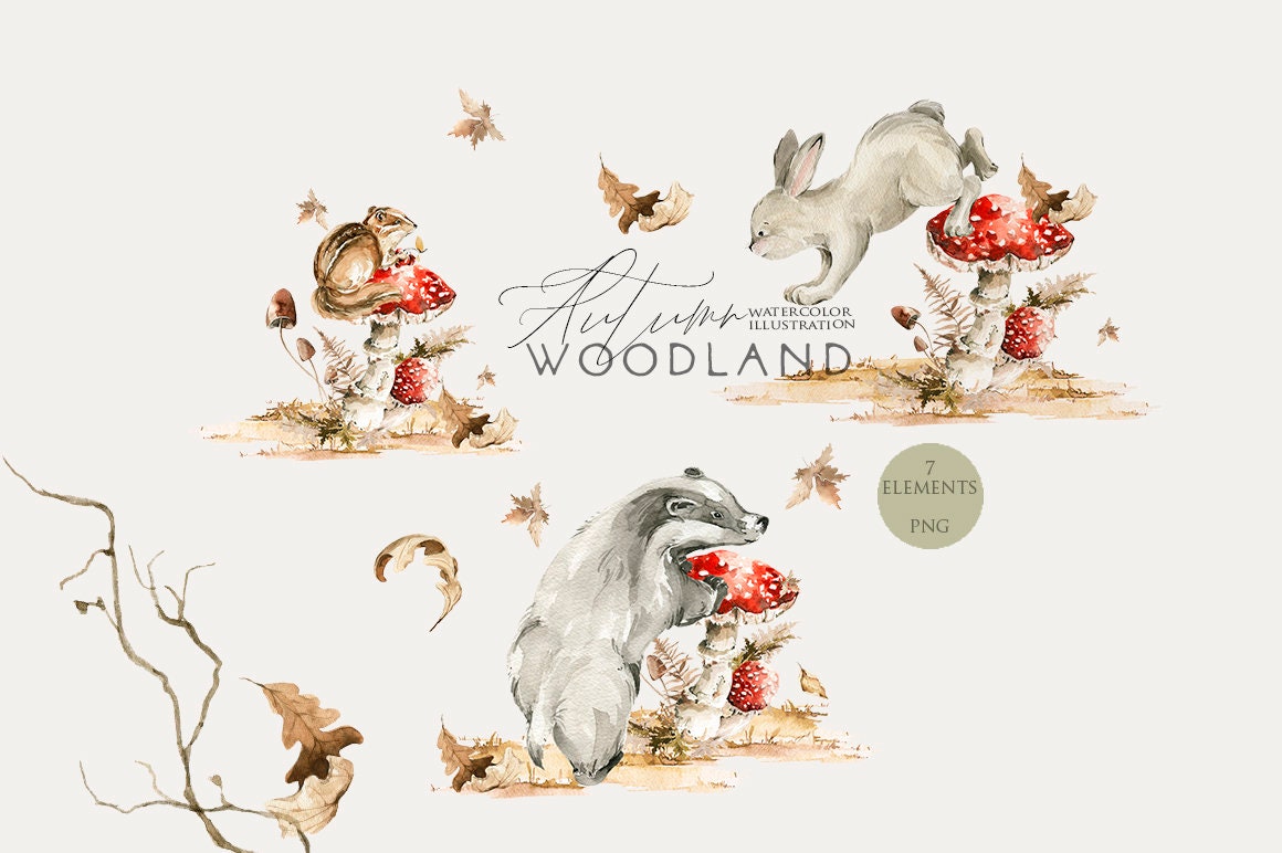 Autumn Woodland Clipart Watercolor Woodland Animals Fall Forest Baby ...