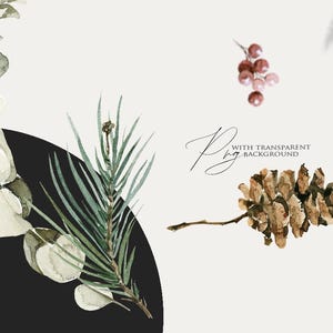 Winter Floral Clipart Christmas Greenery Fir Tree Branches Watercolor ...