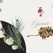 Winter Floral Clipart Christmas Greenery Fir Tree Branches Watercolor ...