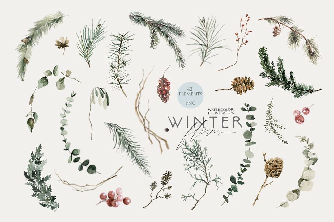 Winter Floral Clipart Christmas Greenery Fir Tree Branches Watercolor ...