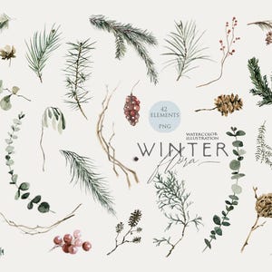 Winter Floral Clipart Christmas Greenery Fir Tree Branches Watercolor ...