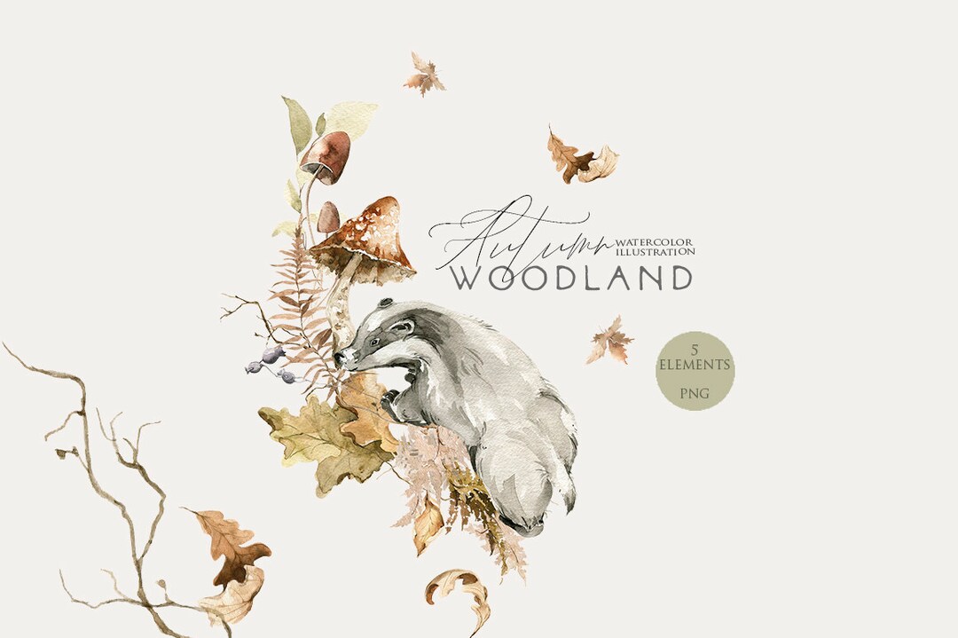 Woodland Animals Clipart Fall Forest Watercolour Woodland Watercolor ...