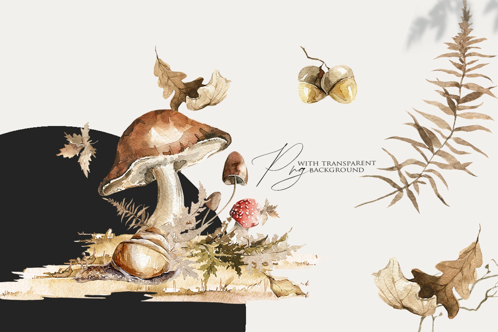 Autumn Mushrooms Clipart Watercolor Fall Forest Watercolour Autumn ...