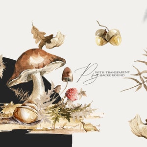 Autumn Mushrooms Clipart Watercolor Fall Forest Watercolour Autumn ...