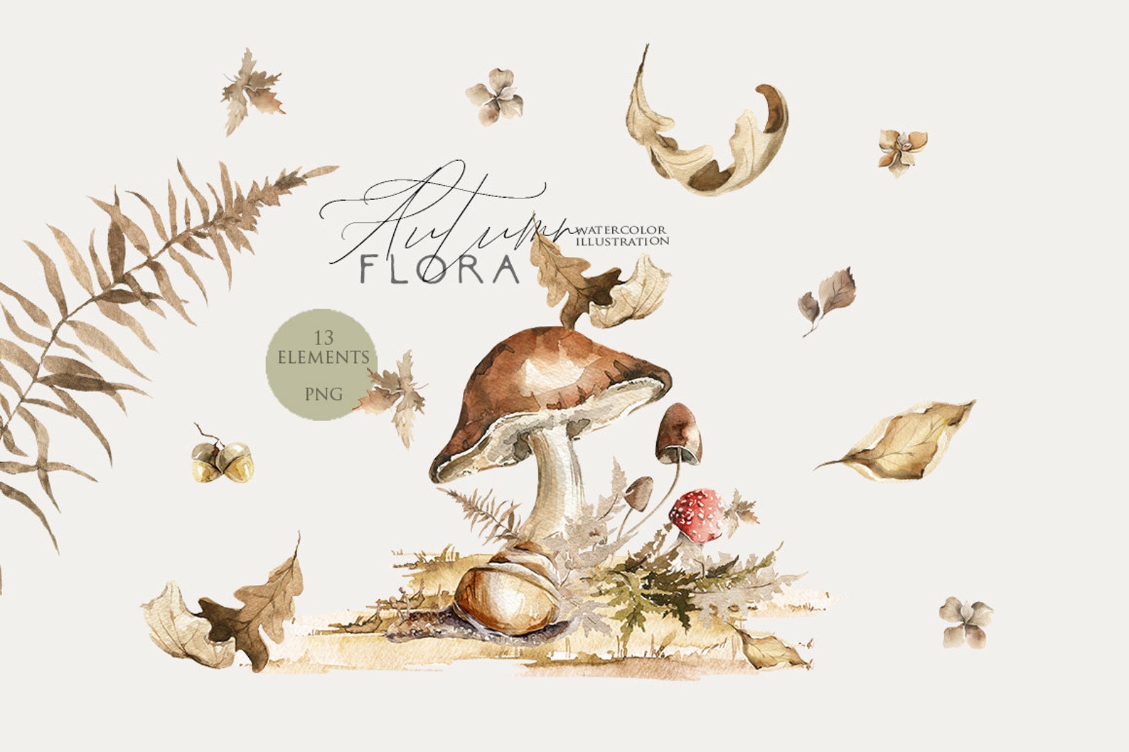 Autumn Mushrooms Clipart Watercolor Fall Forest Watercolour Autumn ...