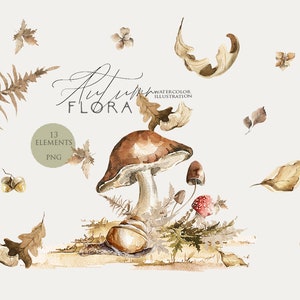 Autumn Mushrooms Clipart Watercolor Fall Forest Watercolour Autumn ...