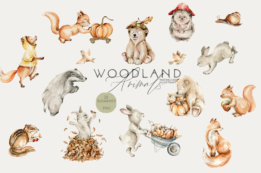 Woodland Animals Clipart Autumn Forest Animal Fall Woodland Baby Shower ...