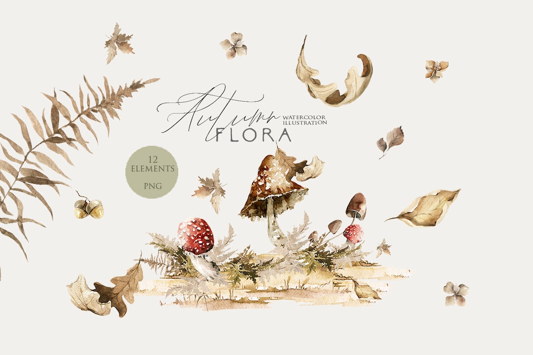 Autumn Forest Clipart Watercolor Fall Woodland Mushrooms Clip Art ...