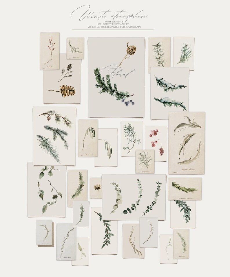 Winter Floral Clipart Christmas Greenery Fir Tree Branches Watercolor ...