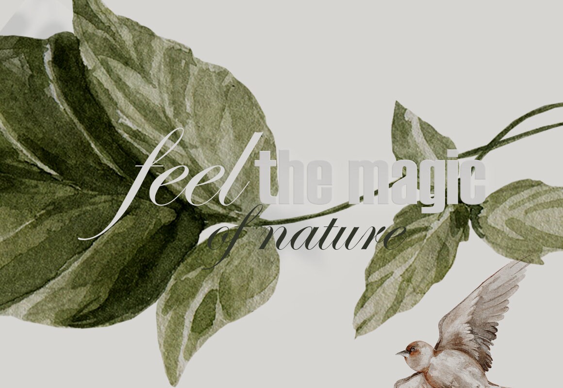 Watercolor Greenery Floral Clipart Green Leaves Frame Watercolour Field ...