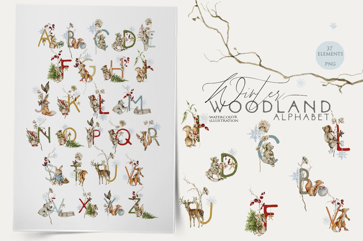 Woodland Alphabet Clipart Baby Animals Letters Numbers Watercolor ...