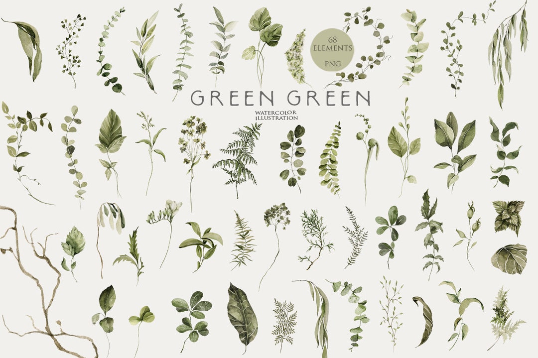 Watercolor Greenery Clipart Green Leaves Clip Art Watercolour Foliage ...