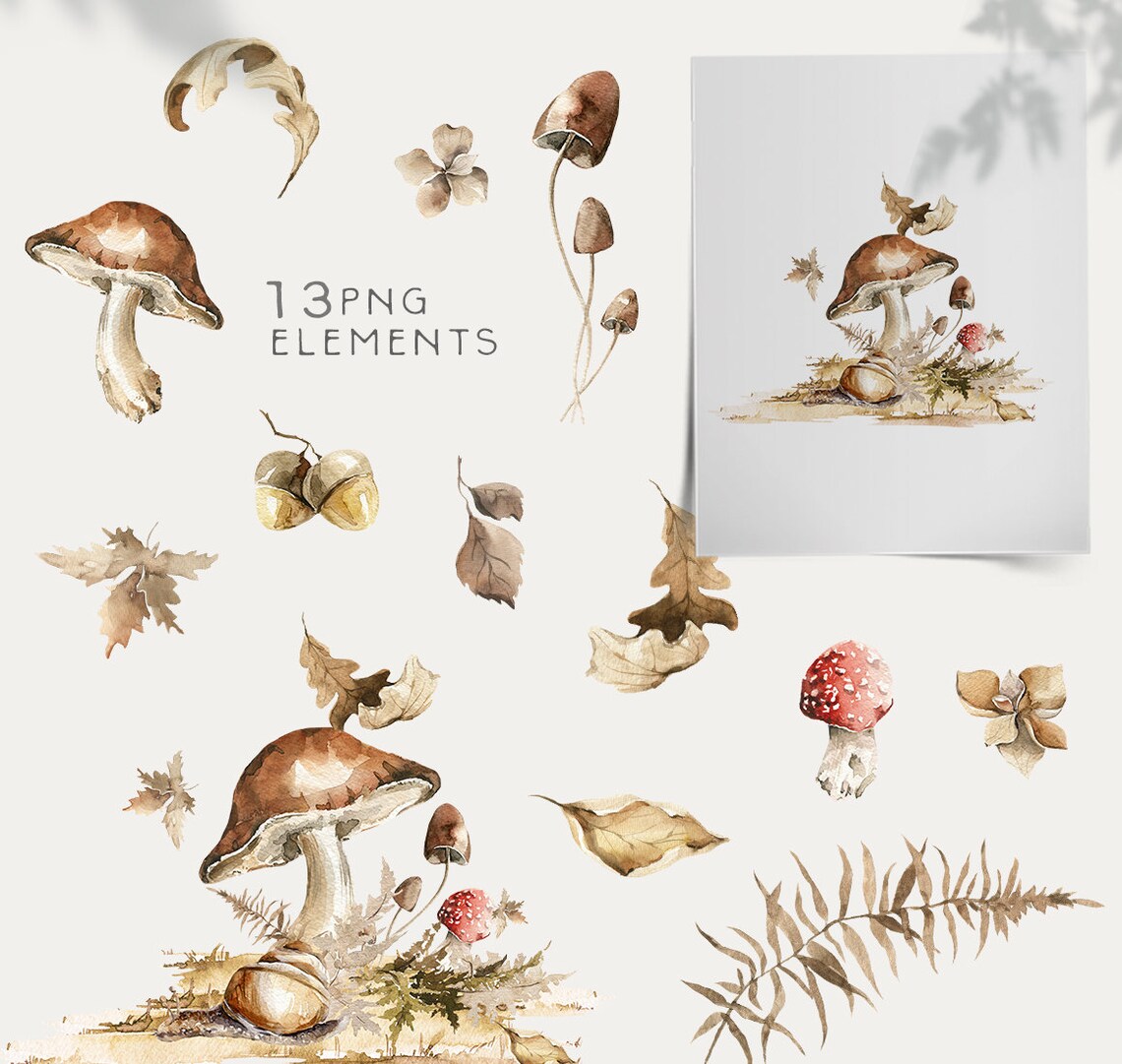 Autumn Mushrooms Clipart Watercolor Fall Forest Watercolour Autumn ...