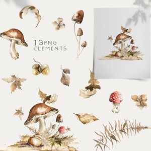 Autumn Mushrooms Clipart Watercolor Fall Forest Watercolour Autumn ...