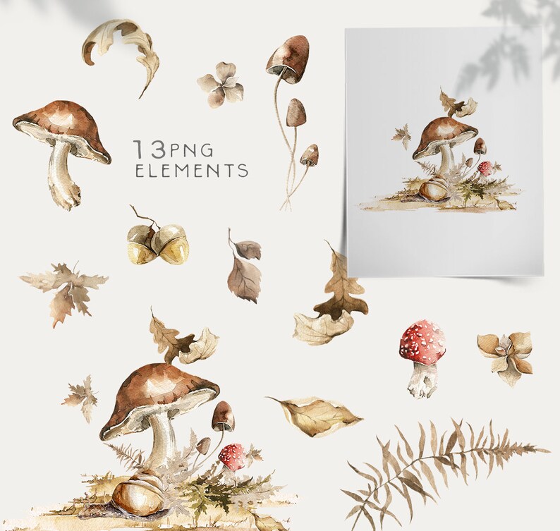 Autumn Mushrooms Clipart Watercolor Fall Forest Watercolour Autumn ...