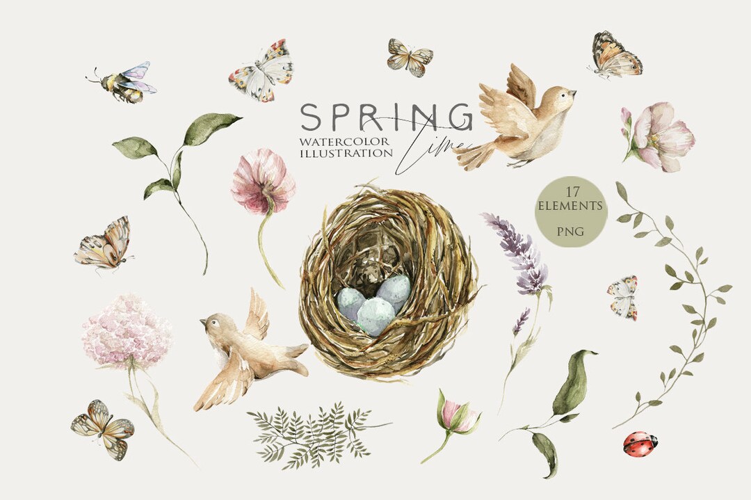 Watercolor Nest Clipart Baby Clip Art Watercolour Flowers Butterfly ...