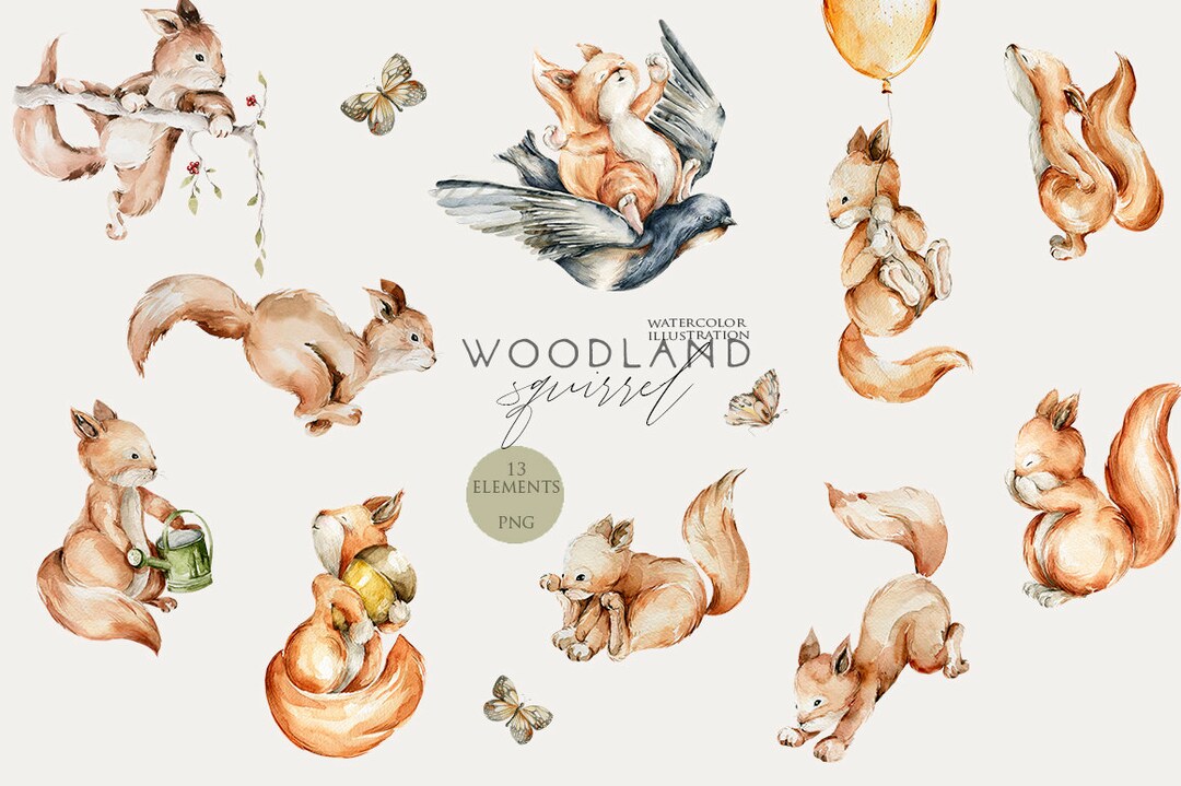 Woodland Animals Squirrel Clipart Watercolour Forest Animal Baby Girl ...