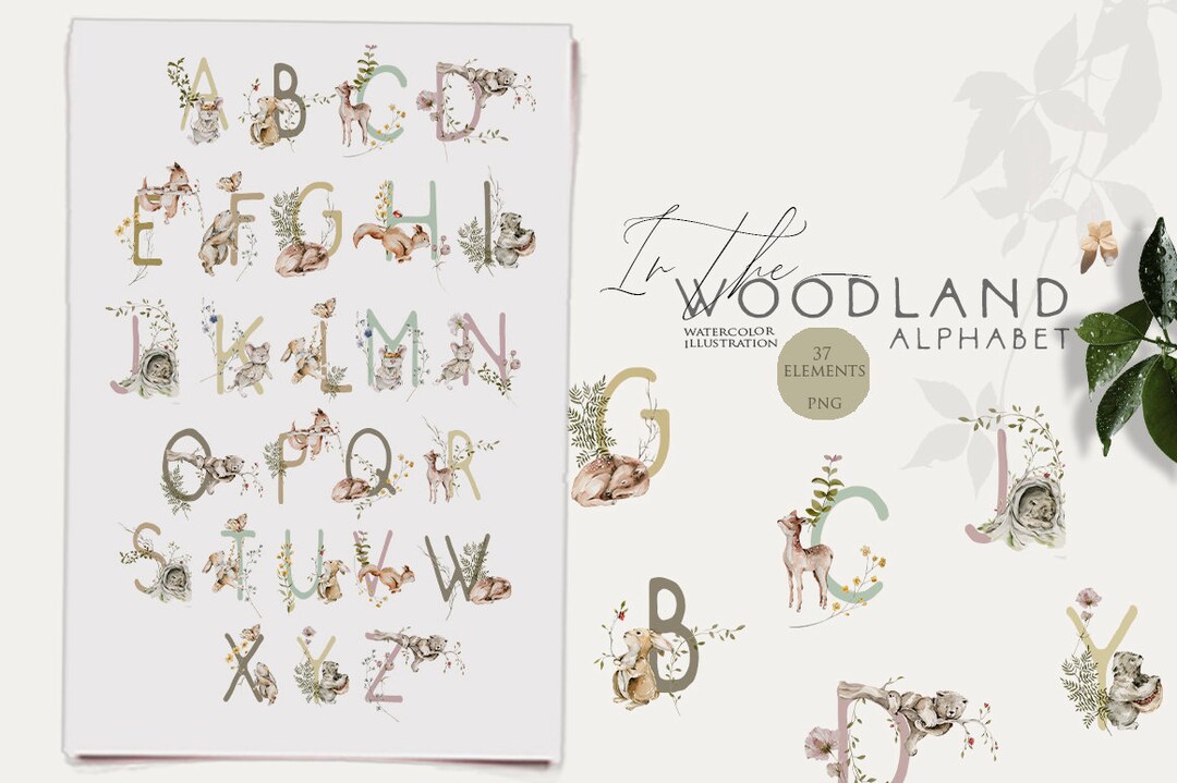 Woodland Alphabet Clipart Baby Animals Woodland Letters Numbers ...