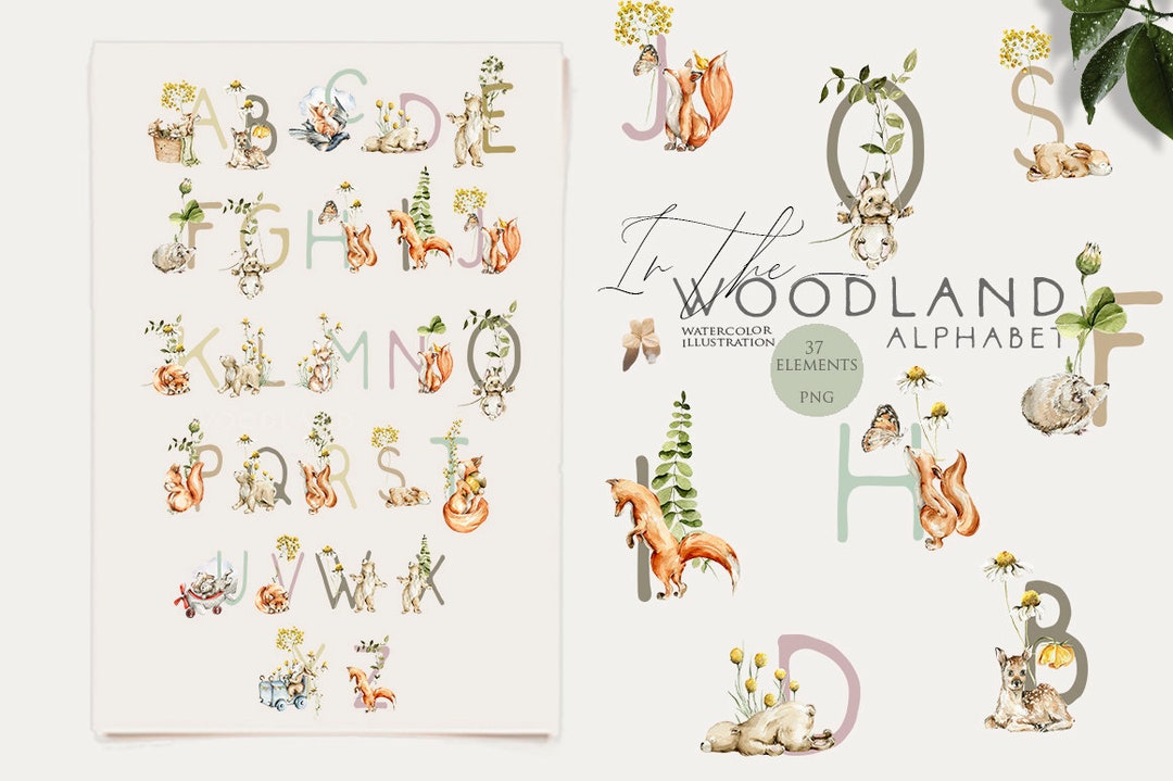Woodland Animals Baby Alphabet Clipart Woodland Letters Numbers Baby ...