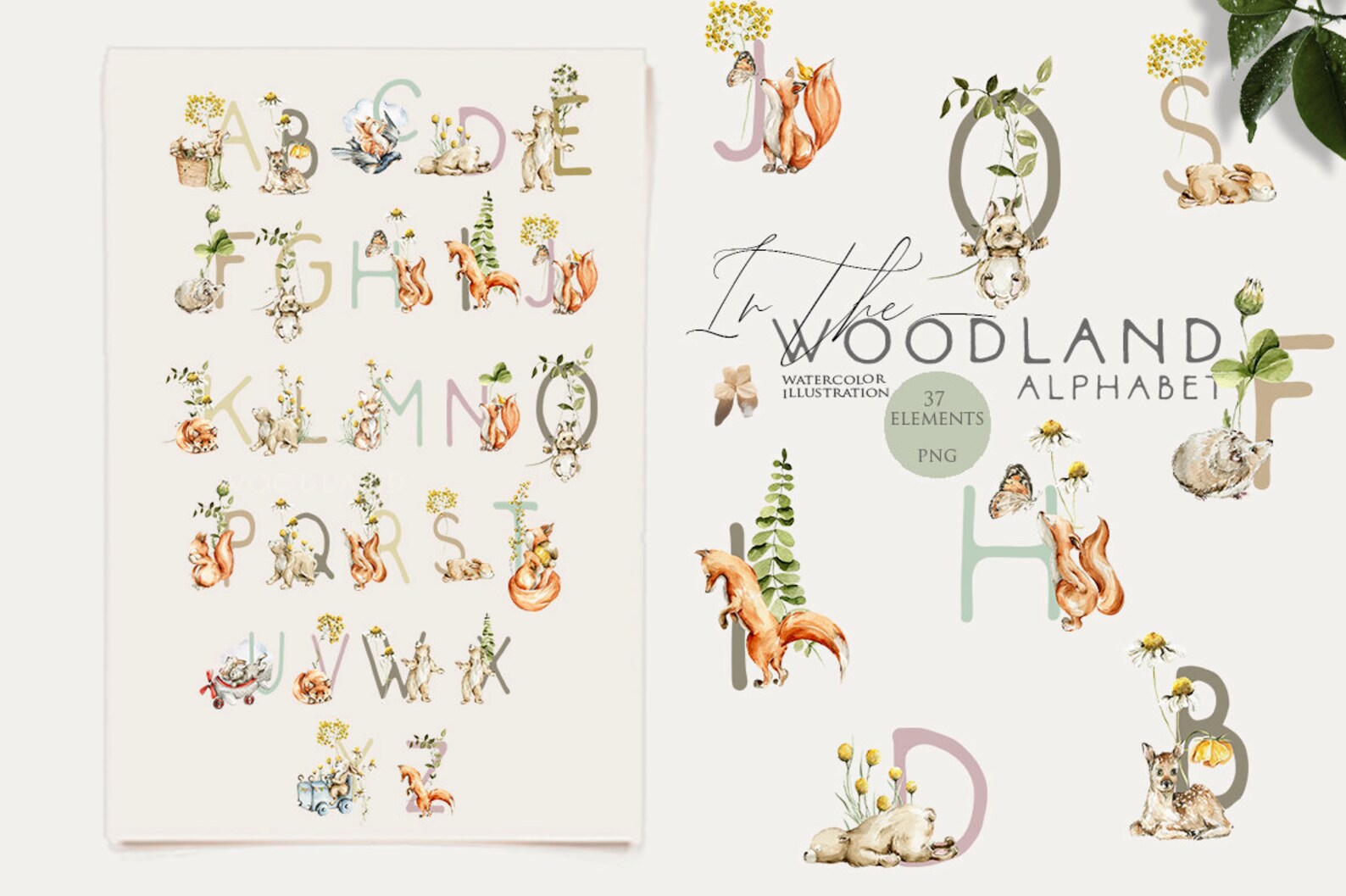 Woodland Animals Baby Alphabet Clipart Woodland Letters Numbers Baby ...