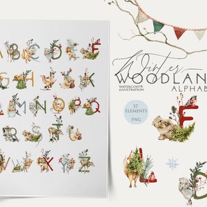 Woodland Alphabet Clipart Winter Letters Number Baby Animals Clip Art ...