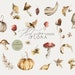 Watercolor Autumn Floral Fall Leaves Clipart Watercolour Pumpkins ...