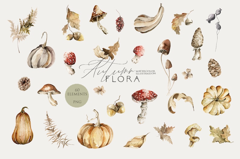 Watercolor Autumn Floral Fall Leaves Clipart Watercolour Pumpkins ...