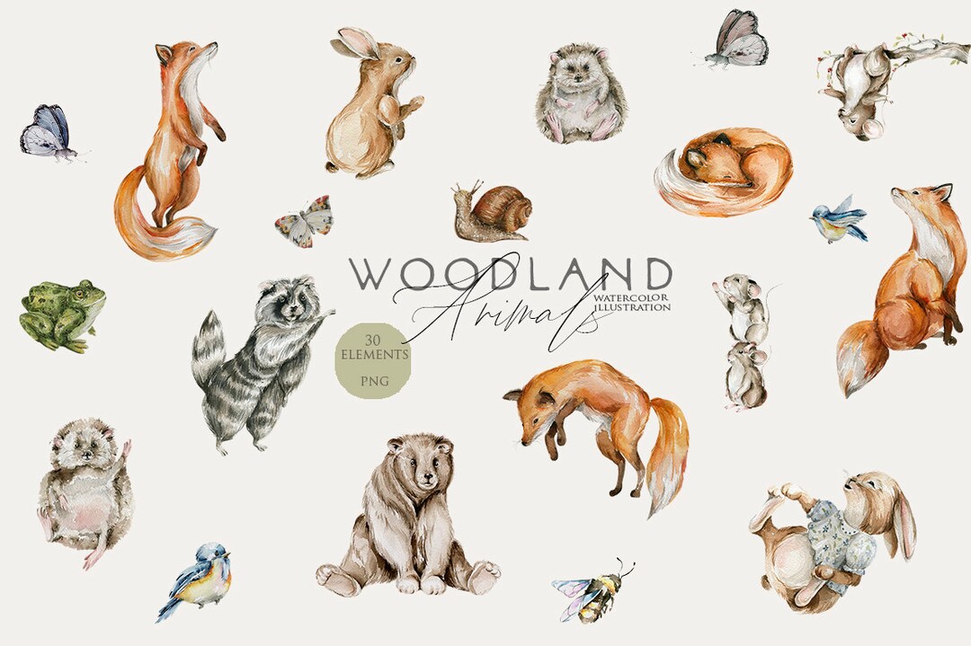 Woodland Animals Clipart Watercolor Baby Animal Cute Fox Bear Bunny ...