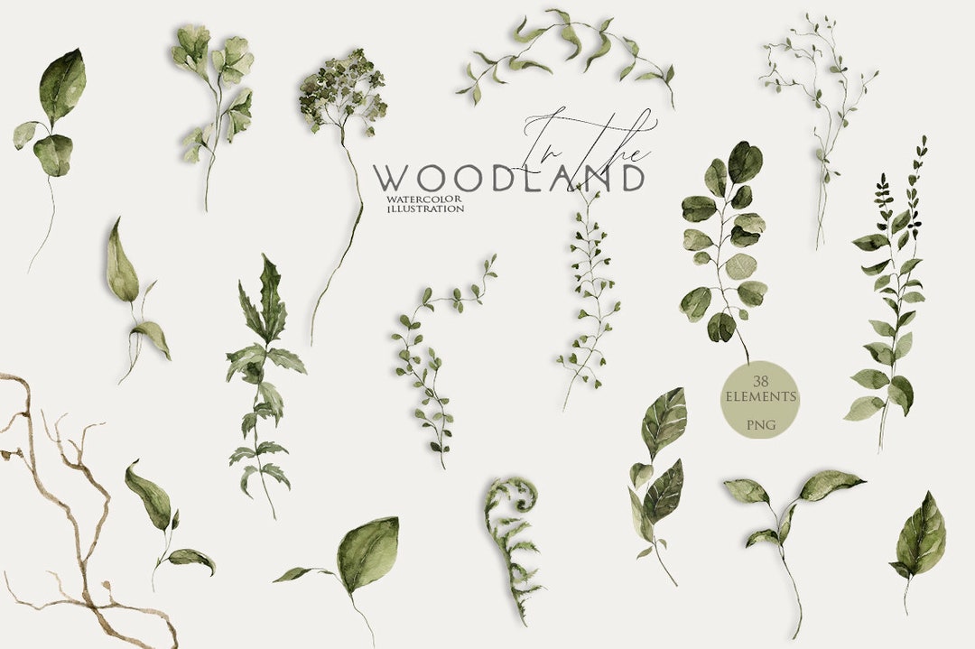 Watercolor Greenery Floral Clipart Green Leaves Watercolour Wildflowers ...