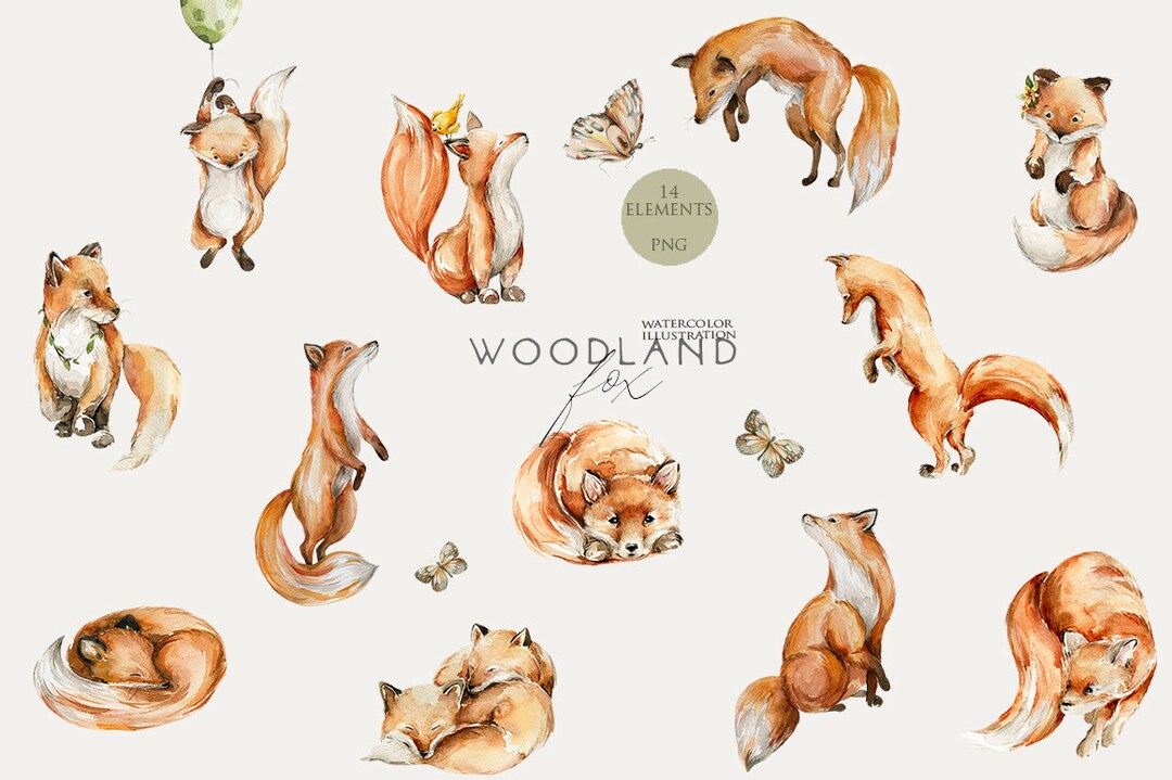 Woodland Animals Fox Clipart Watercolour Forest Animal Baby Girl Clip ...