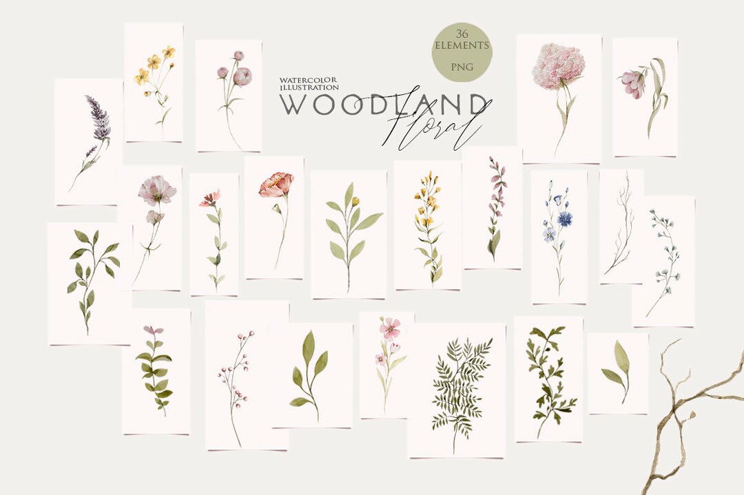 Woodland Clipart Watercolor Field Flowers Wildflowers Greenery Floral ...