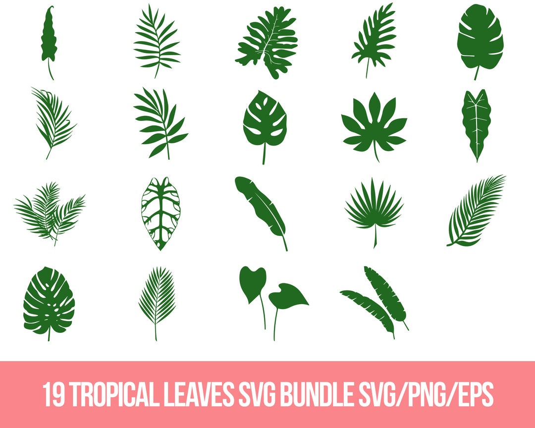 19 Tropical Leaves Svg Leaf Svg Clipart Commercial Use Svg Jungle ...