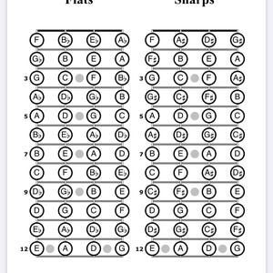PRINTABLE BASS DIAGRAM (flats and Sharps) - Etsy
