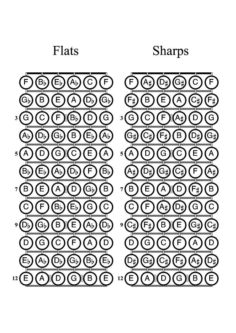GUITAR FRETBOARD DIAGRAM (flats and Sharps) - Etsy