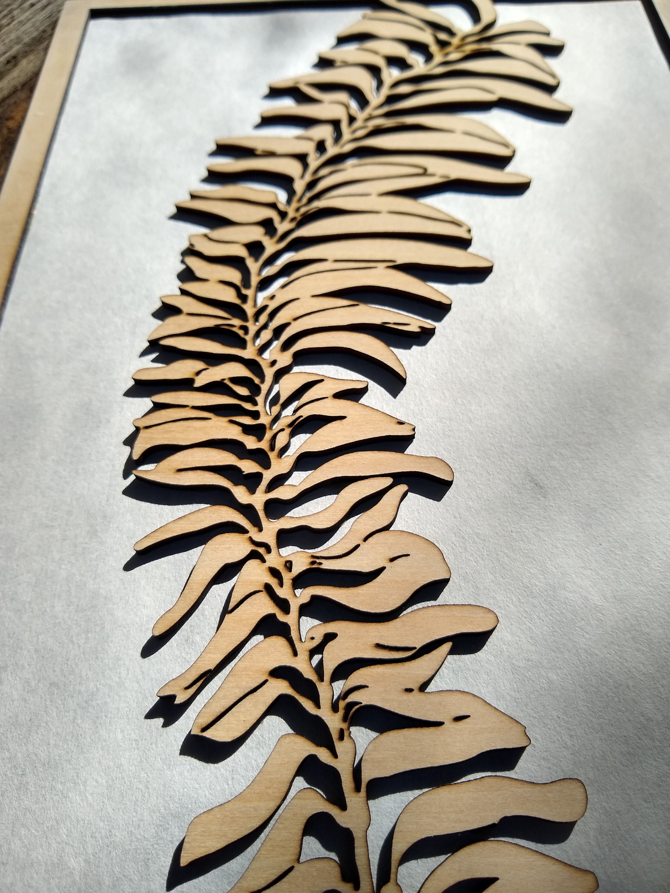Seaweed Tendril Laser-cut Silhouette - Etsy