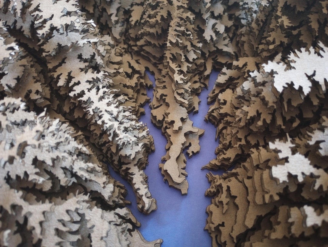Laser-cut Relief Map of Mississippi River Delta - Etsy