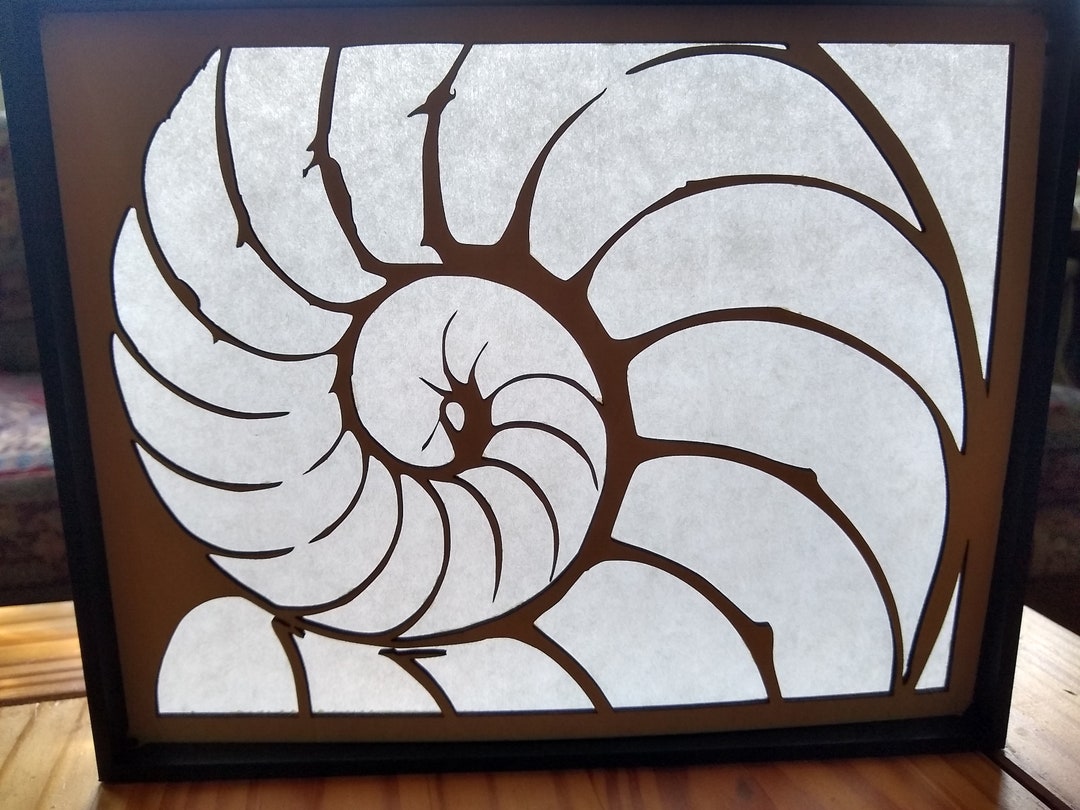 Nautilus Shell Framed Laser-cut Silhouette - Etsy