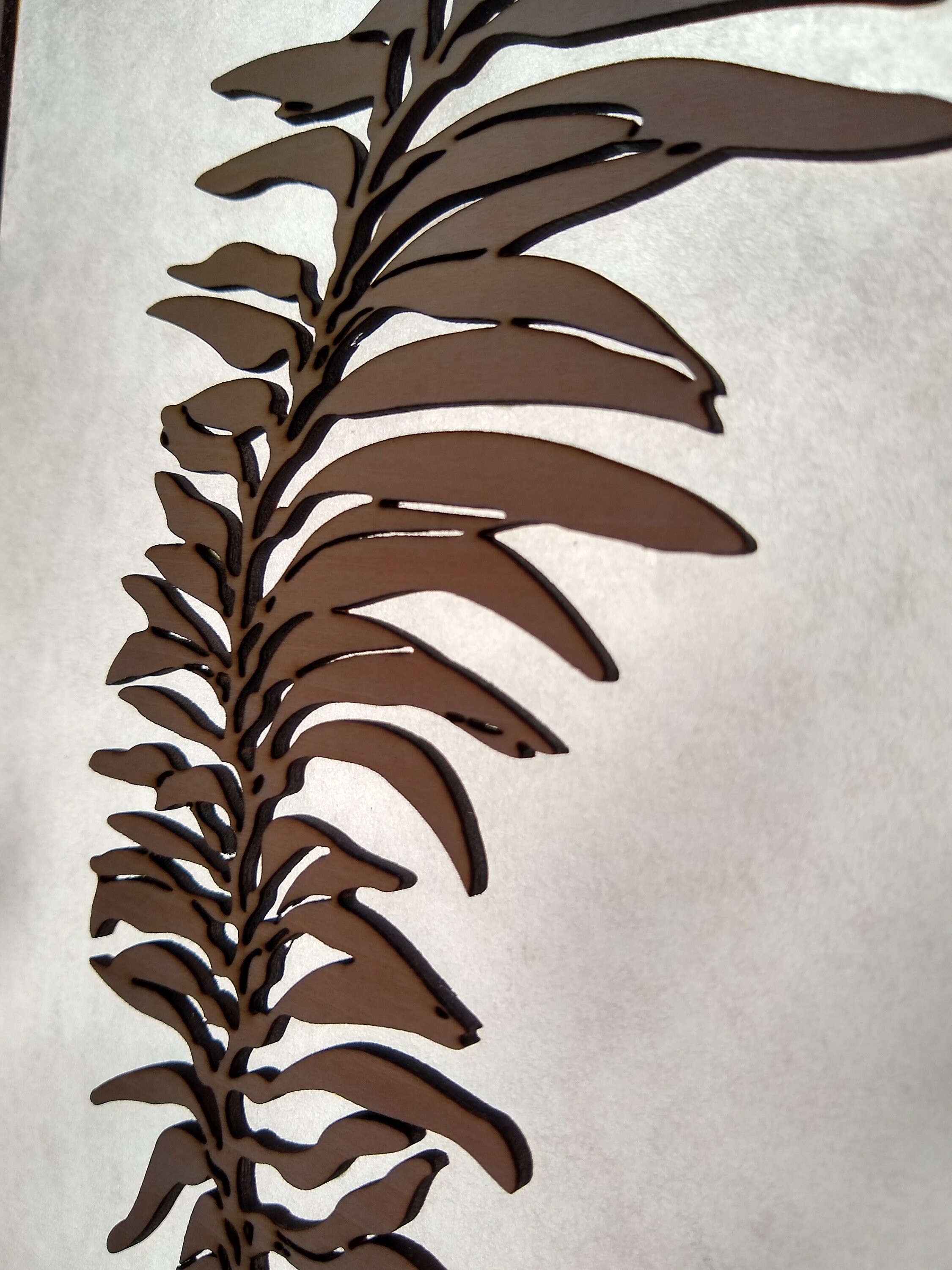 Seaweed Tendril Laser-cut Silhouette - Etsy