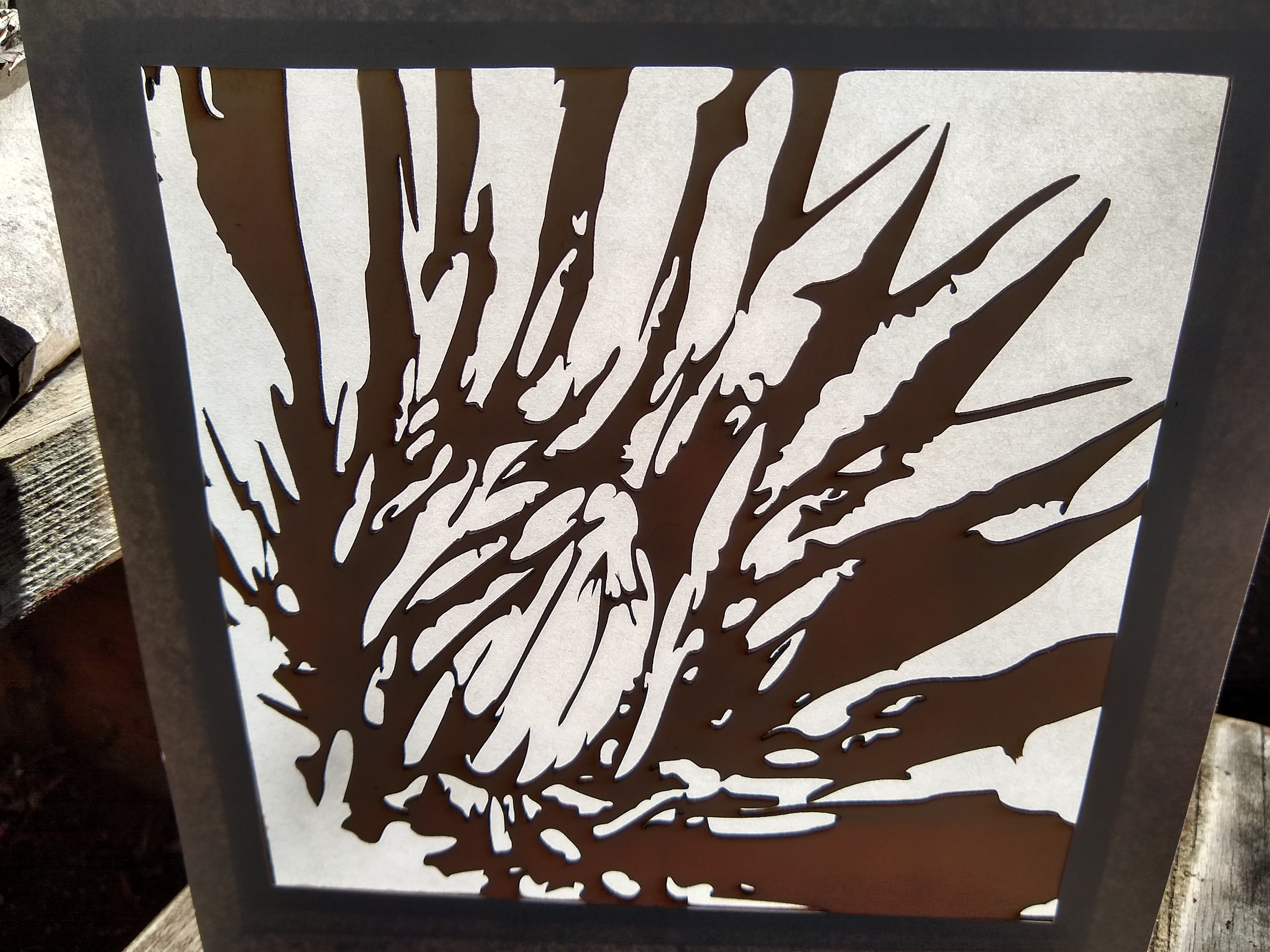 Protea Flower Laser-cut Light Box - Etsy