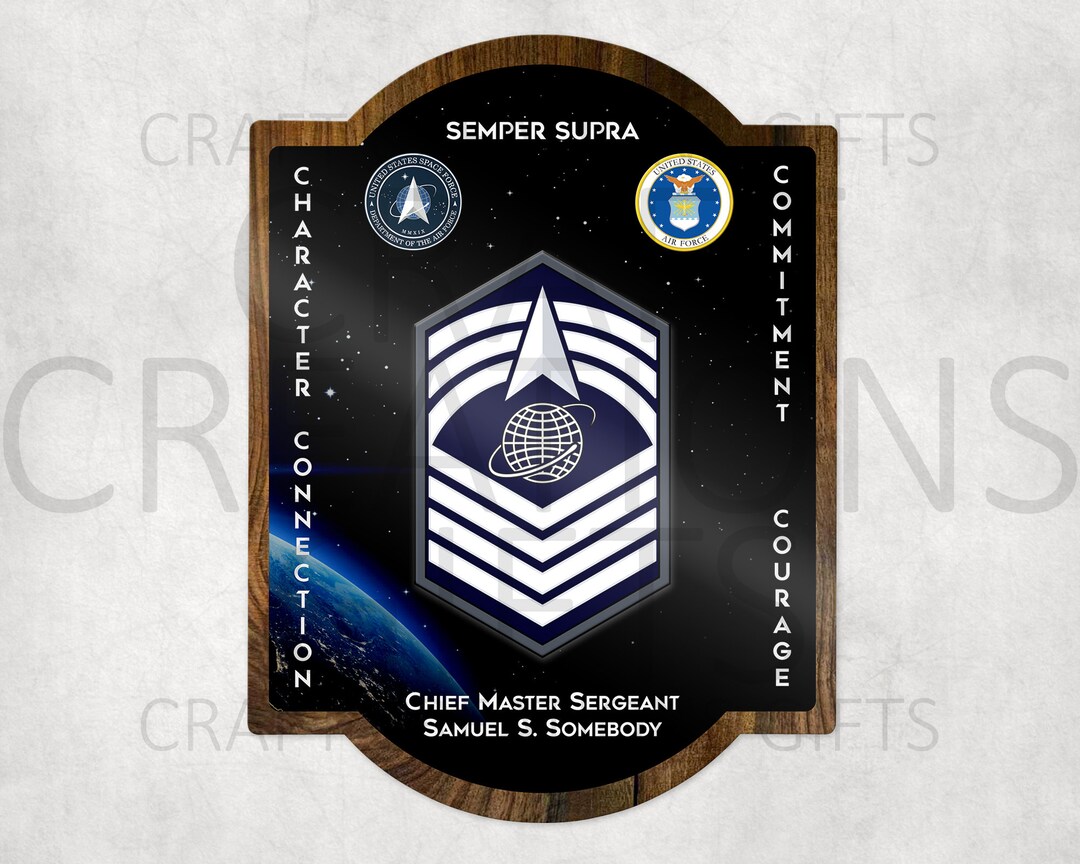 SPACE FORCE RANK Plaque Pub Style Custom Personalized Military ...