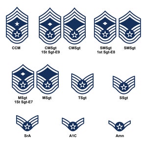 AIR FORCE RANK Plaque Pub Style Custom Personalized Military Retirement ...