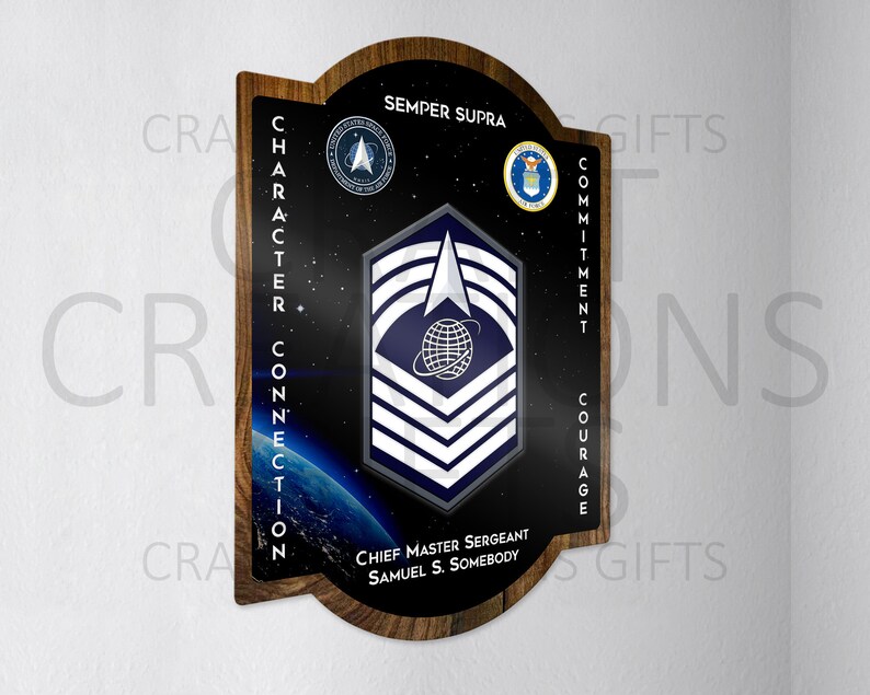 SPACE FORCE RANK Plaque Pub Style Custom Personalized Military - Etsy