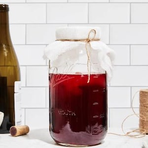 Organic Red Wine Vinegar Mother Culture With Starter Liquid – 3 Oz ...