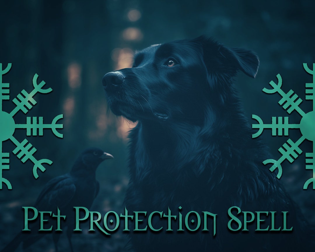Pet Protection Spell Protect Your Pet Keep Your Pet Safe FREE ...