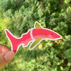 Fruit Shark Sticker Set || Water-resistant/waterproof Vinyl Matte Sea ...