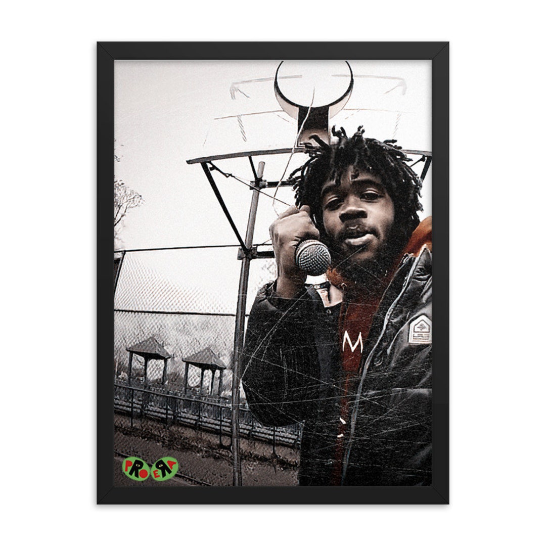 Capital Steez - Park Steelo Rare Framed Poster - King Capital Album Pro ...